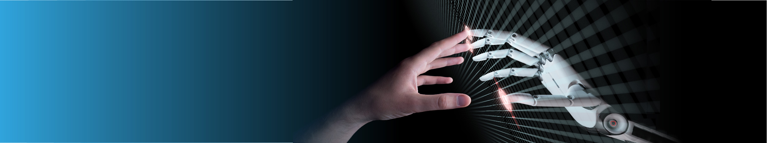 LedgerBase -FlexSystem (Shanghai) Co.,Ltd